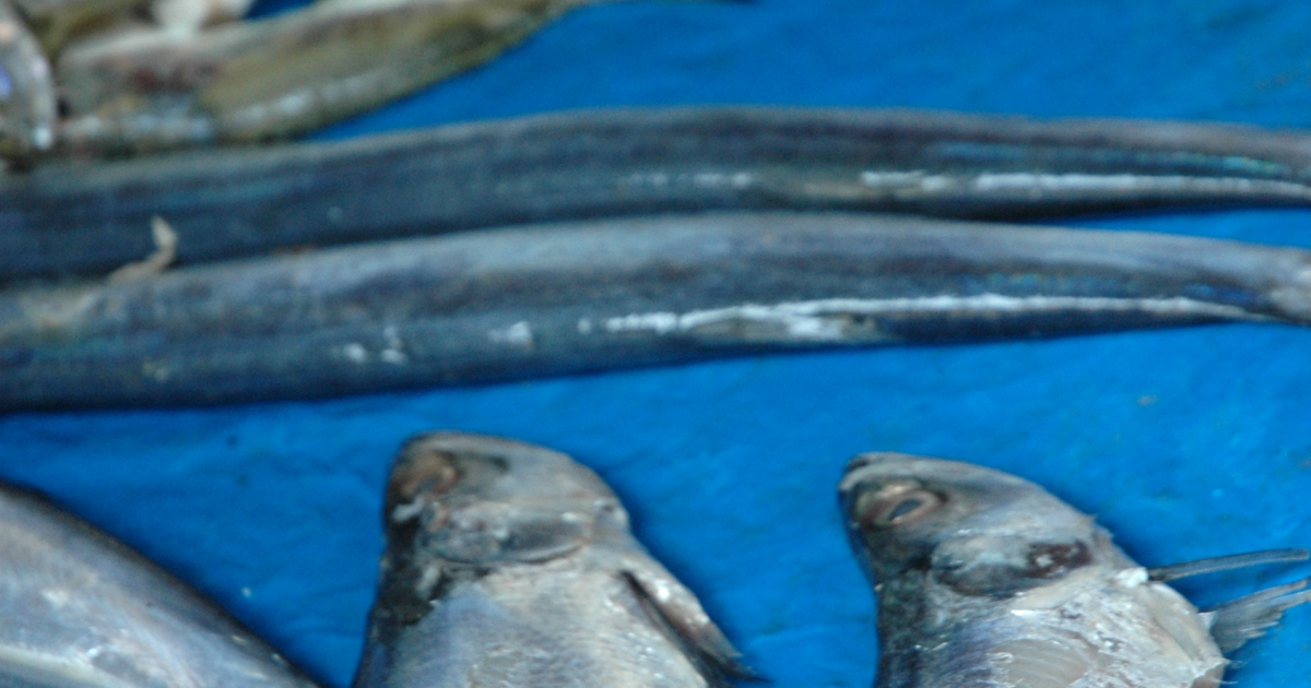 Carving Memories: Migration, Cuisine and Identity in South Konkan ...