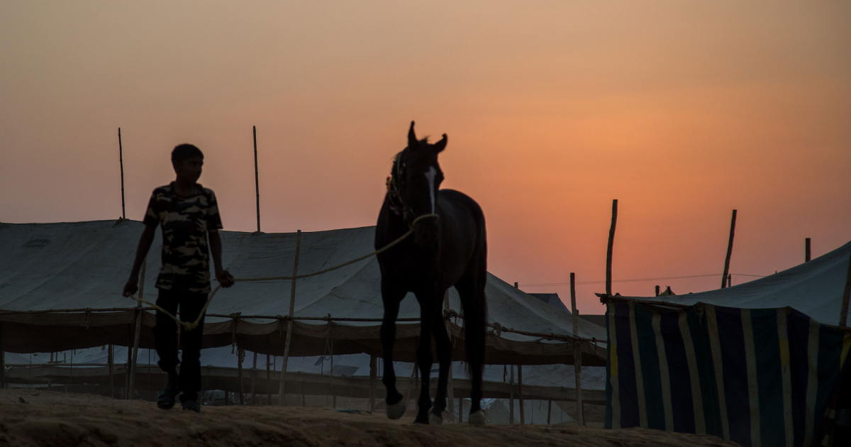 Pushkar: A Changing World | Sahapedia