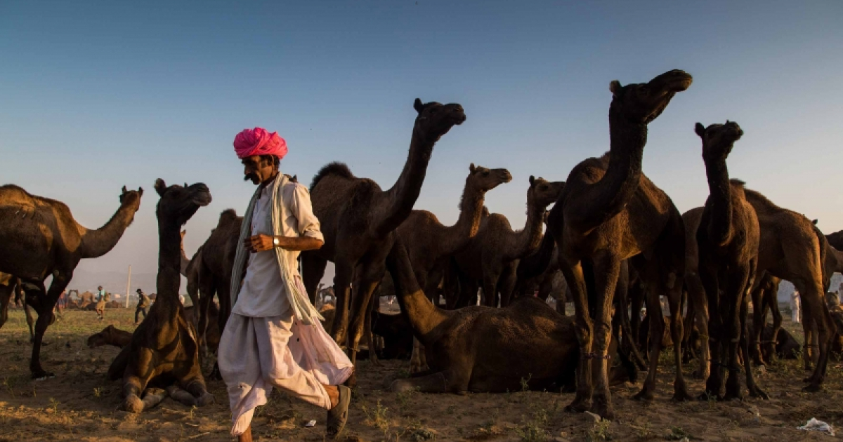 Pushkar: A Changing World | Sahapedia