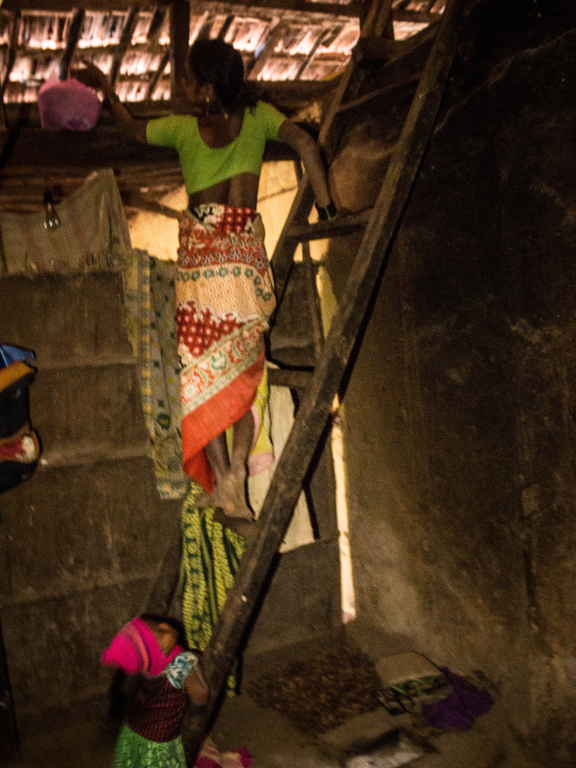 From Flower to Spirit: How Moha Pervades Warli Lives | Sahapedia