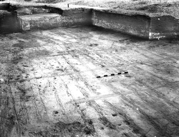 Images of Harappan Relics | Sahapedia