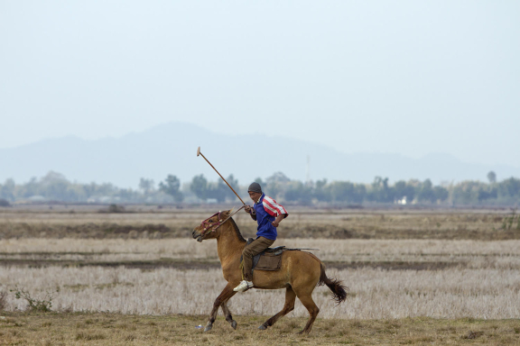 Manipuri Ponies & Origins of Polo | Sahapedia