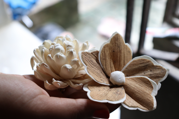 Sholapith: A Visual Guide | Sahapedia