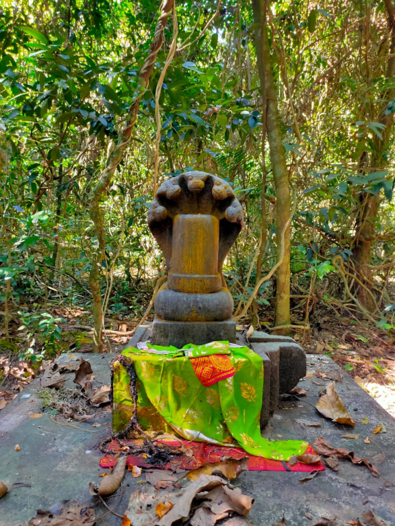 Sarppakalam and Snake Dance: Kerala’s Age-Old Tradition of Serpent ...