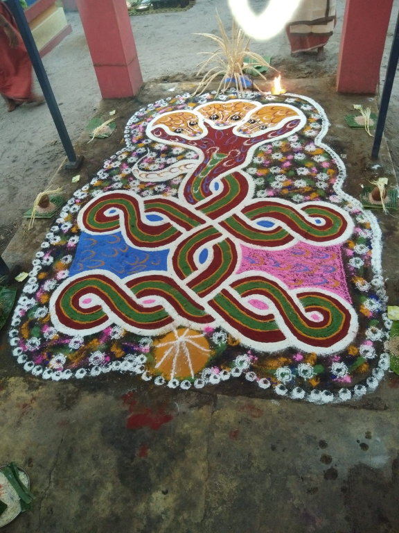 Sarppakalam and Snake Dance: Kerala’s Age-Old Tradition of Serpent ...