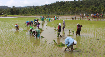 The Paniya Tribe of Wayanad | Sahapedia