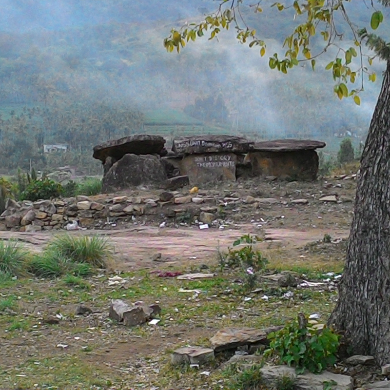 Megaliths of Kerala: Commemorating Death through Monuments in Stone ...