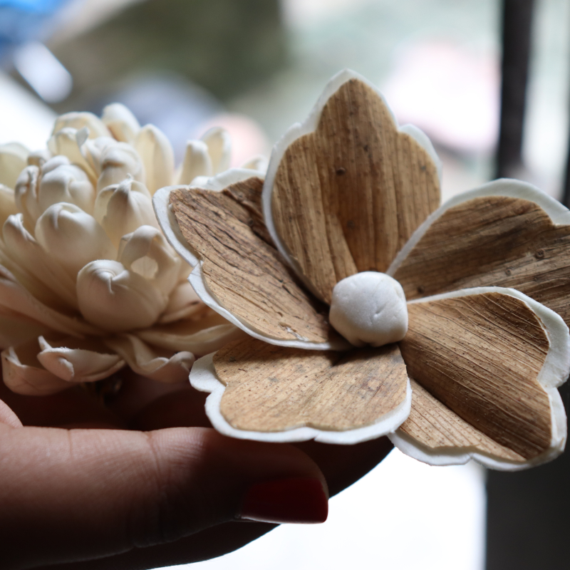 Sholapith: Herbal Ivory of Bengal | Sahapedia