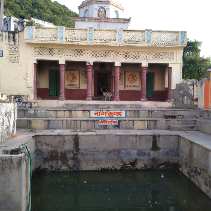 Learning from Abundance: Many Mahabharatas of Rajasthan and What They ...