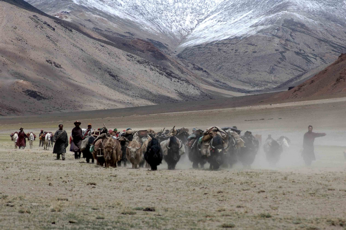 The Fabric of Life: Nomadic Textiles from the Ladakh Himalayas | Sahapedia